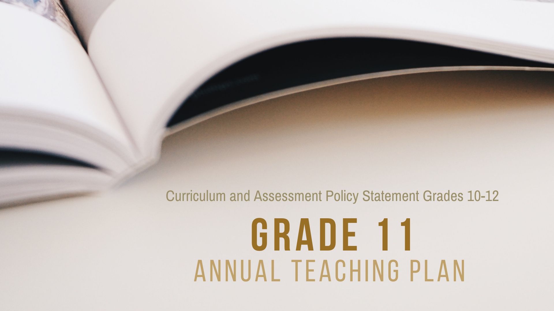 Grade 11 Annual Teaching Plan | Business Studies | CAPS Doc