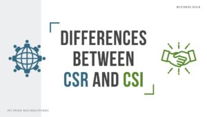 Describe the Differences Between CSR and CSI