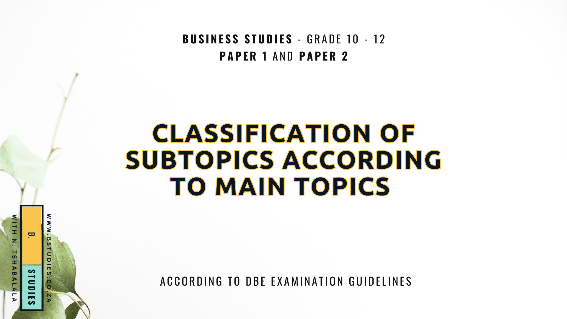 Breakdown of Subtopics and Exam Scope | FET Phase Business Studies