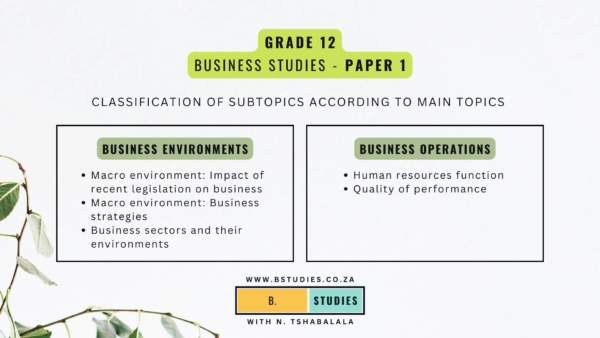 Breakdown of Subtopics and Exam Scope | FET Phase Business Studies