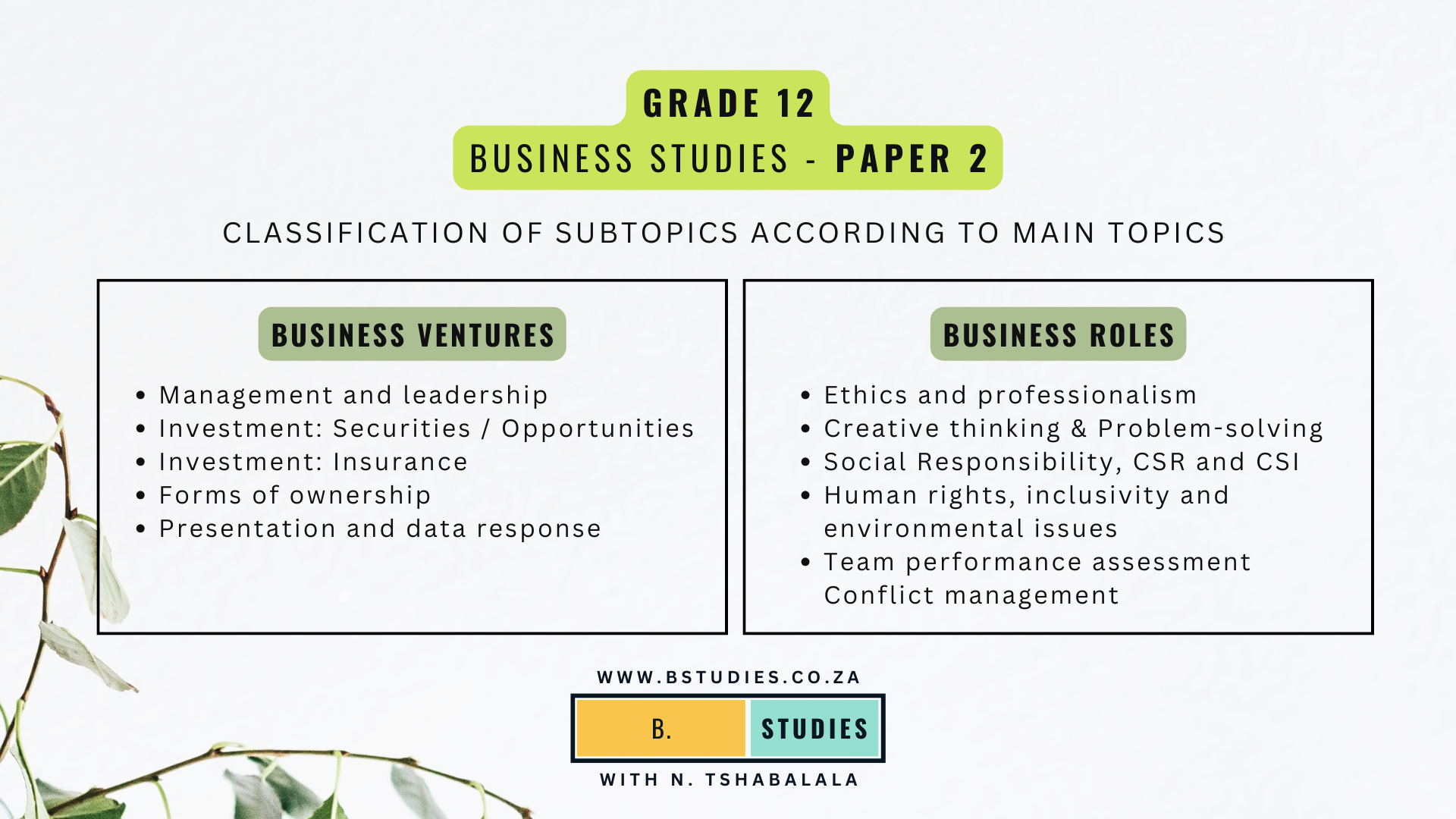 Breakdown of Subtopics and Exam Scope | FET Phase Business Studies